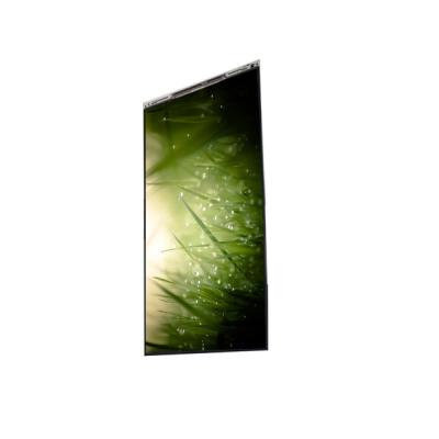 China BS055FHG-E41-6C00 5.5 inch LCD Display LCD screen PANEL For Mobile Phone for sale