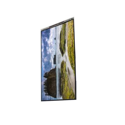 China BS059FBM-L00-6K00 5.9 inch LCD Display LCD screen PANEL For Mobile Phone for sale