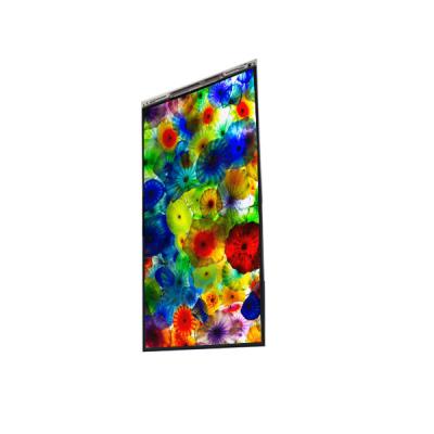 China BS060WKE-LB0-6Q00 6.0 inch LCD Display LCD screen PANEL For Mobile Phone for sale