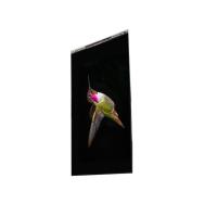 China BS062FBE-L30-6Q00 6.3 inch LCD Display LCD screen PANEL For Mobile Phone for sale