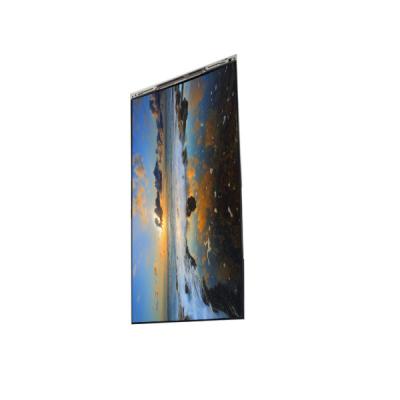China BS062FBM-L00-6801 6.2 inch LCD Display LCD screen PANEL For Mobile Phone for sale
