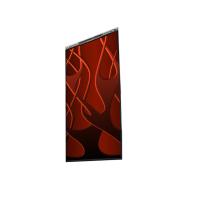 China BS066FBE-L30-6Q00 6.6 inch LCD Display LCD screen PANEL for sale