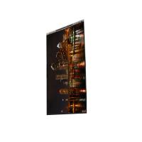 China BS066YQE-L30-6Q00 6.6 inch LCD Display LCD screen PANEL for sale