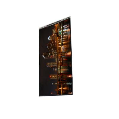 China BS066YQE-L30-6Q00 6.6 inch LCD Display LCD screen PANEL for sale