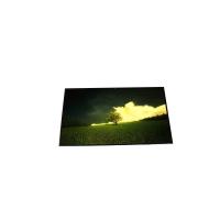China LP133WF9-SPG2 13.3 inch LCD display 1920*1080 WLED LCD Screen for sale