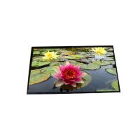 China LP133WH2-TLA4 13.3 inch 1366*768 LVDS 40Pins LCD Display for sale