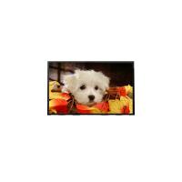 China LP133WX1-TLA2 13.3 inch LCD display Screen for sale