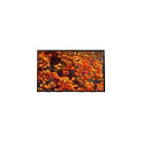 China LP133WX1-TLB2 lcd display panel 13.3 inch 1280*800 LCD Screen Module for sale
