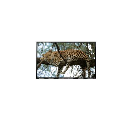 China LP133WX2-TLA3 13.3 inch TFT LCD Laptop Display Screen Panel for sale