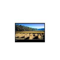 China LP139UD1-SPC1 13.9 inch LCD Panel Screen UHD For Lenovo Yoga 920-13IKB for sale