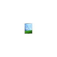 China 3.8 inch LM038QBTS10 320*240 lcd Screen With PDA for sale