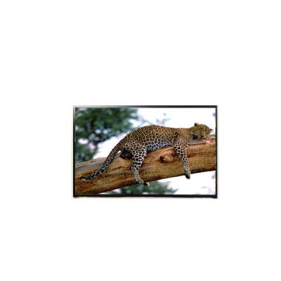 China LP141WP1-TLE6 14.1 inch 60Hz LCD Panel 1440*900 LCD Screen for sale