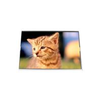 China LP141WX5-TPP1 14.1 inch 1280*800 262K LCD display panel for sale