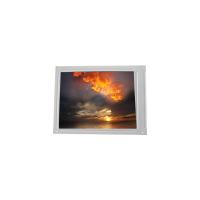 China 11.3 inch LQ11DS33 800*600 LCD Display Screen for sale