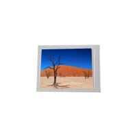 China LQ11DW01 11.3 inch 262K 60Hz CCFL LCD Module Panel for sale
