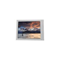 China 11.3 inch 800*600 LQ11S31G 262K 60Hz LCD Module for sale