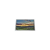 China LQ12X51 12.1 inch 262K 60Hz LCD Display Screen Panel for sale