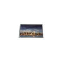 China 13.3 inch Original LQ13X02C 262K LCD Screen Module for sale