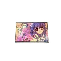 China LP156WF6-SPA1 15.6 inch LCD Screen Panel for Laptop for sale