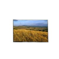China LP156WFC-SPD9 15.6 inch eDp 30 Pins 1920*1080 LCD Laptop Screen Panel for sale