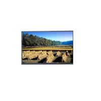 China LP156WFD-SPM5 15.6 inch 1920*1080 LCD Screen for LG for sale