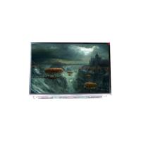 China LP156WHB-TPA1 TFT LCD Screen 15.6 inch 30 pins LCD Display for sale