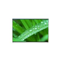 China LP170WQ1-SPF2 17.0 inch LCD Panel slim 2560*1600 LCD Screen for sale