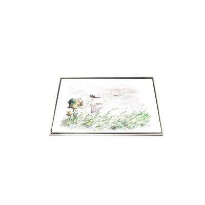China LP173WD1-TLA3 17.3 inch 1600*900 LCD Screen Module for sale