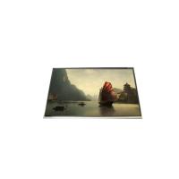 China LP173WD1-TLB2 17.3 inch 60Hz LCD Panel Screen display for sale