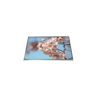 China LP173WD1-TLD1 Original in Stock 17.3 inch 1600*900 LCD Display Screen for sale