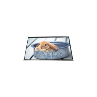 China LP173WD1-TLH5 17.3 inch 60Hz LCD Panel Screen display for Laptop for sale