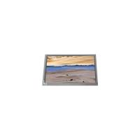 China LQ058T5DRQ1 5.8 inch 640*350 TFT LCD Screen Display for sale