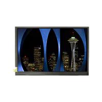 China COG-VLBJT011-06 12.3 inch 1920*720 LCD Touch Screen for sale