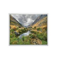 China 17 inch 1280*1024 DV170E0M-N30 60Hz 500 cd/m2 LCD Screen Display for sale