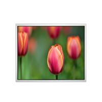 China 17 inch 1280*960 DV170YGZ-N10 30 pins 1000:1 LCD Screen For BOE for sale