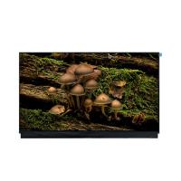 China NEW DV180FHM-N10 18.0 inch 1920*1080 LCD Screen Display Screen for sale