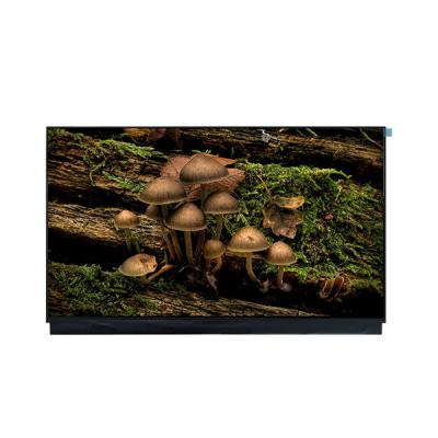 China NEW DV180FHM-N10 18.0 inch 1920*1080 LCD Screen Display Screen for sale