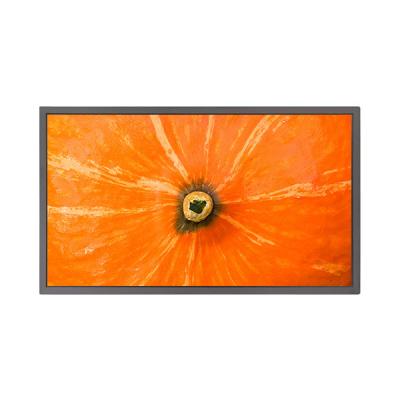 China DV185FHM-R00 18.5 inch 1920*1080  LCD Display Screen For BOE for sale