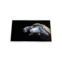 China NEW DV238FHB-NM1 23.8 inch 1920*1080 LVDS LCD Display Screen for sale