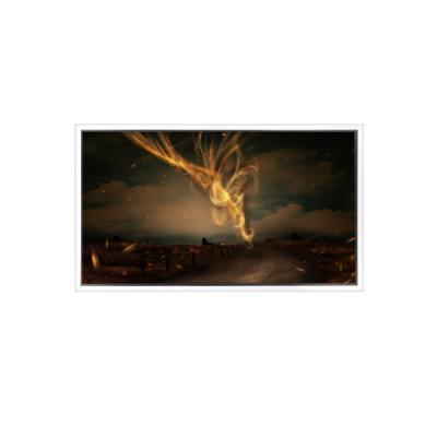 China 28.0 inch 1920*2160 DV279SVB-NV0 LCDScreen FOR Video Wall for sale