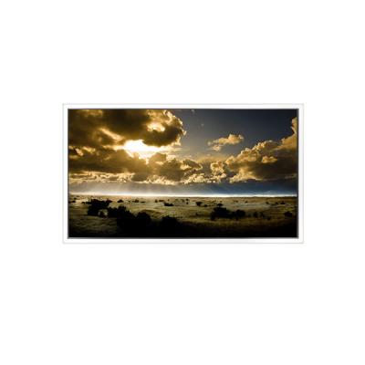 China DV430FHM-NN5 43 inch 1920*1080 LCD Screen FOR Digital Signage for sale