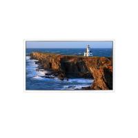 China 49 inch 1920*1080 DV490FHB-NV1 LCD Screen for Video Wall for sale