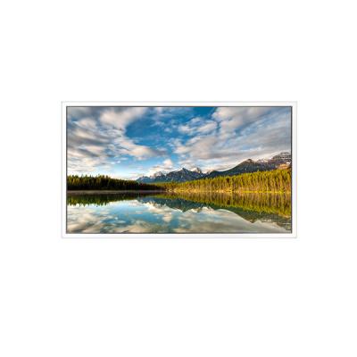 China 55 inch DV550FHB-N30 1920*1080 LCD Screen FOR Transparent Display for sale