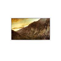 China 1920*1080 55 inch DV550FHM-NVC 1200:1 LCD Screen FOR Video Wall for sale