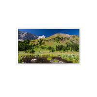 China DV550QUB-N20 3840*2160 55 inch LCD Screen FOR Digital Signage for sale