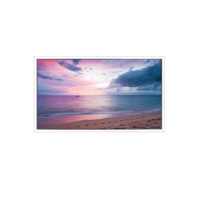 China 3840*2160 DV550QUB-P10 55 inch 60Hz 1200:1 LCD Screen Panel for sale