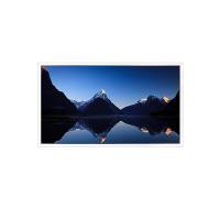 China NEW DV550QUB-R11 3840*2160 55 inch 120Hz LCD Screen Module for sale