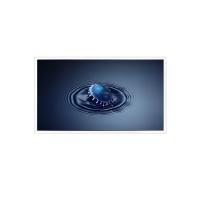 China 3840*2160 DV650QUB-N00 65inch 60Hz LCD Screen Display for sale