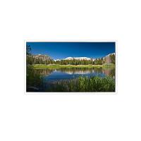 China 65inch 3840*2160 DV650QUB-R01 1.07B 72%NTSC LCD Screen Panel for sale