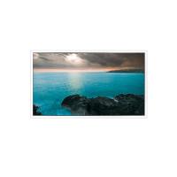 China 65inch 3840*2160 DV650QUM-N00 60Hz LCD Screen Display for BOE for sale